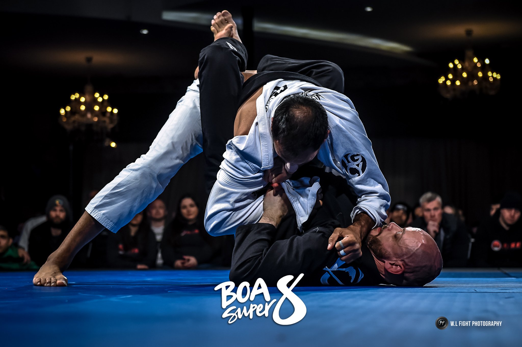 BOA Super 8: 6th Edition Wrap - Dominance MMA
